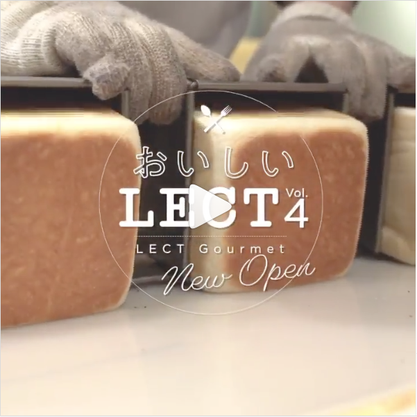 LECT – Web広告制作 | 株式会社アッシェ - 高知 | Webサイト制作・デジタルマーケティング